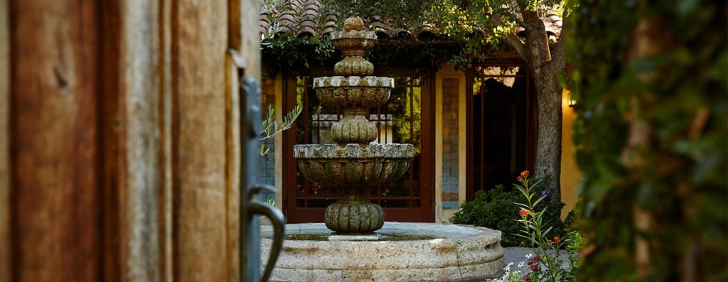 Joe Procopio Appointed CEO of Newport | Newport Healthcare