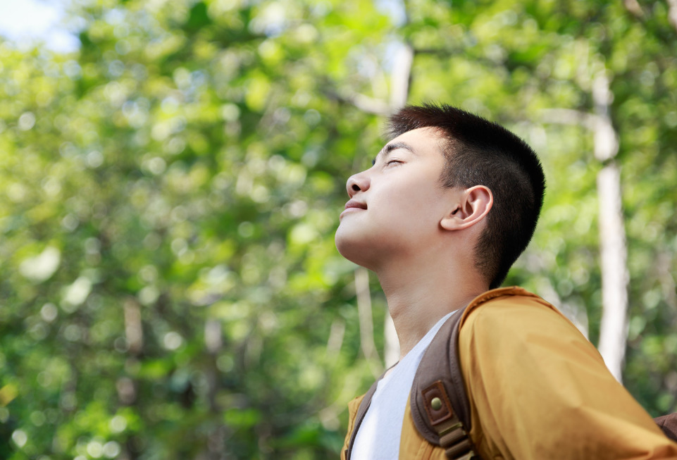 The Science of Stress and Allostatic Load | Newport Healthcare